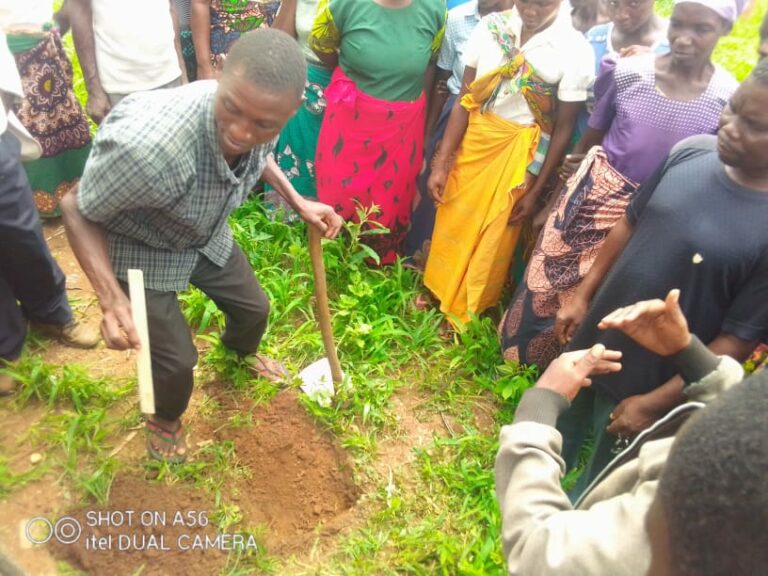 Malawi - Imagine Afrika - Agroforestry Regeneration Communities